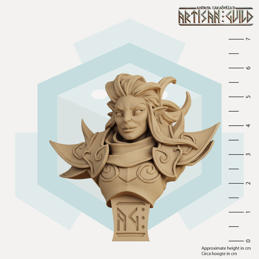 Eliora Dawnbringer - 3D Printed Bust — Empire of Minis