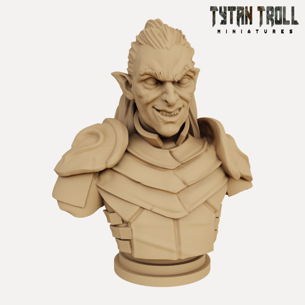 Rahadin (Smirking) (Curse of Strahd) - 3D Printed Bust — Empire of Minis