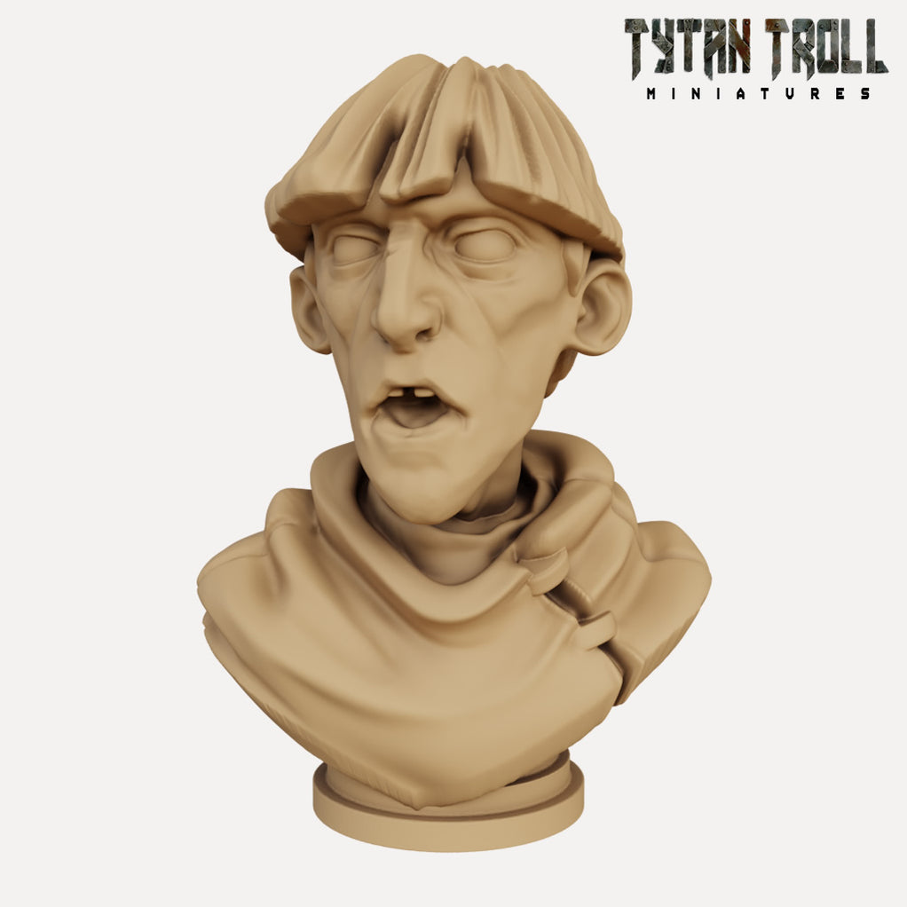 Milivoj (Curse of Strahd) - 3D Printed Bust — Empire of Minis