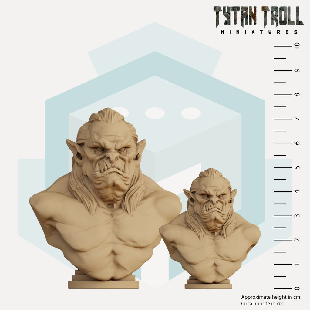 Gorash the Orc - 3D Printed Bust — Empire of Minis