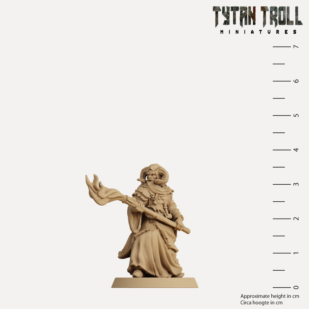 Tim the Enchanter (Monty Python) - 3D Printed Miniature — Empire of Minis