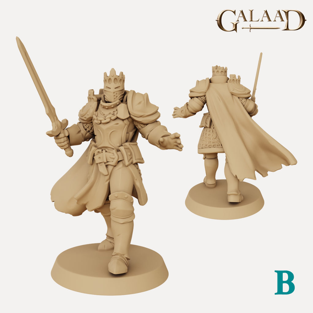 Crowned Knights - 3D Printed Miniatures — Empire of Minis