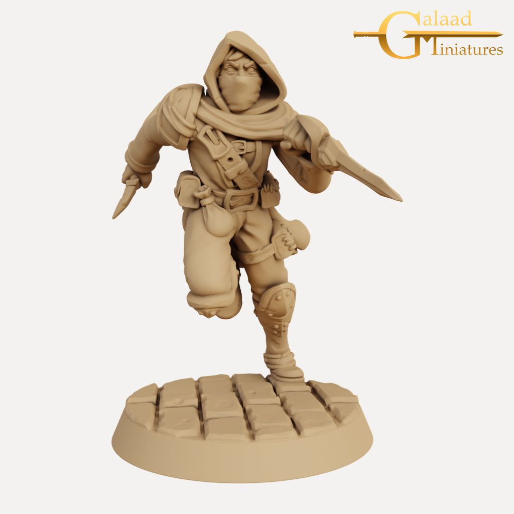 Aaron, the Rogue - 3D Printed Miniature — Empire of Minis