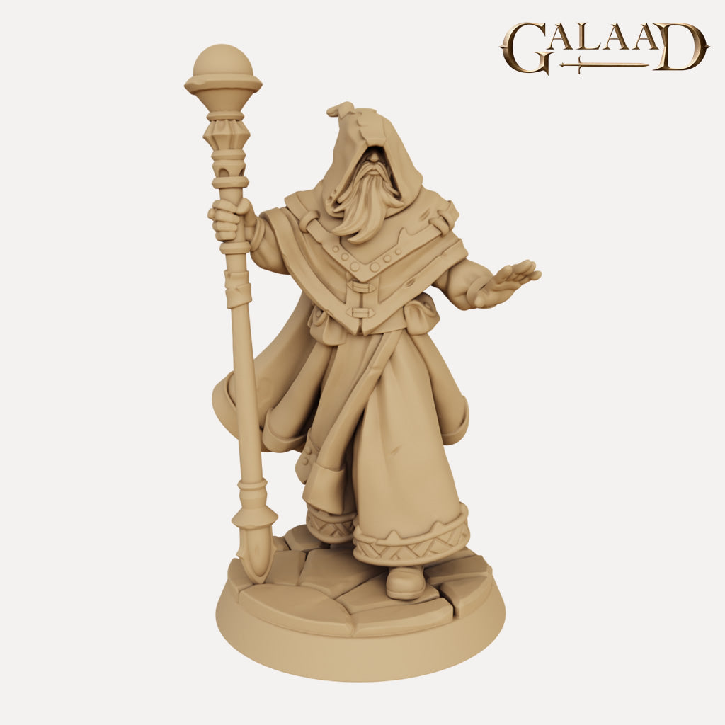 Wizard-class Miniatures - Empire of Minis