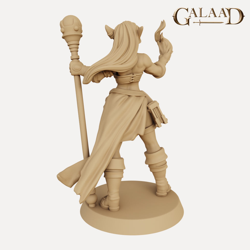 Reywinn the Elf Wizard - 3D Printed Miniature — Empire of Minis